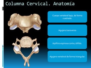 Esguince cervical | PPTX