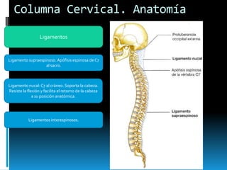 Esguince cervical | PPTX