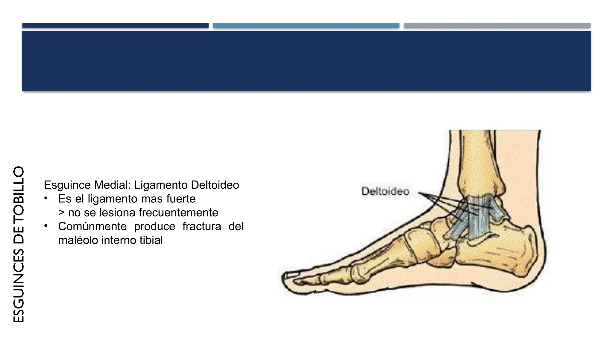 ESGUINCES DE TOBILLO TRAUMATOLOGIA Y ORTOPEDIA | PPTX