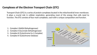 Complexes of ETC, their composition and flow of electrons through the ...