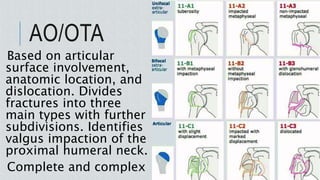 anapath of proximal humerus fractures.pptx