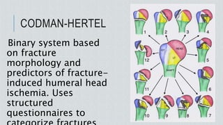 anapath of proximal humerus fractures.pptx