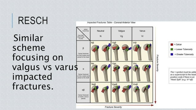 anapath of proximal humerus fractures.pptx