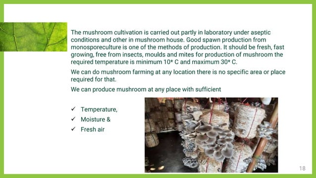 Mushroom.ppt