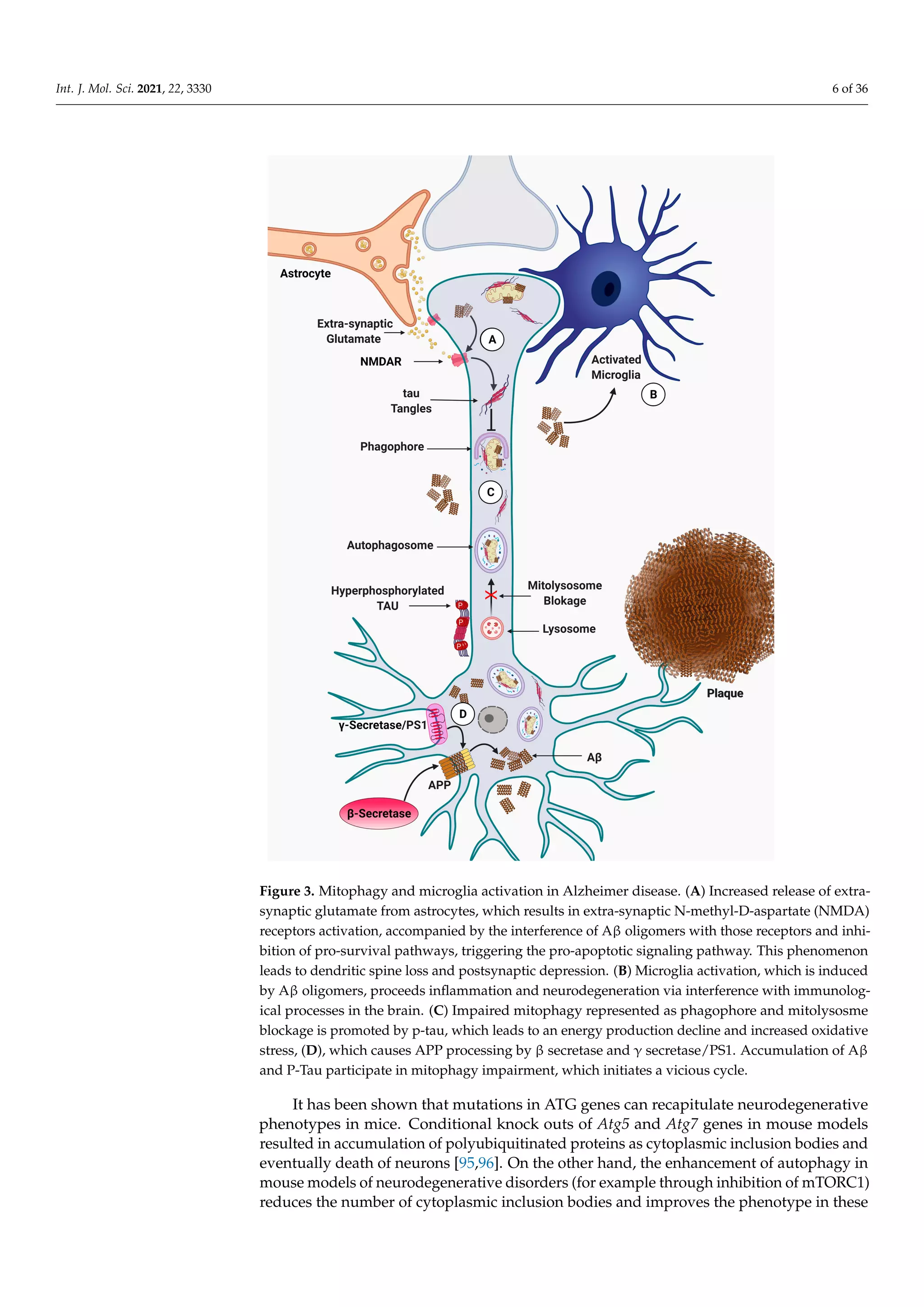 Eshraghi-2021-Alzheimers-disease-pathogenesis-rol.pdf