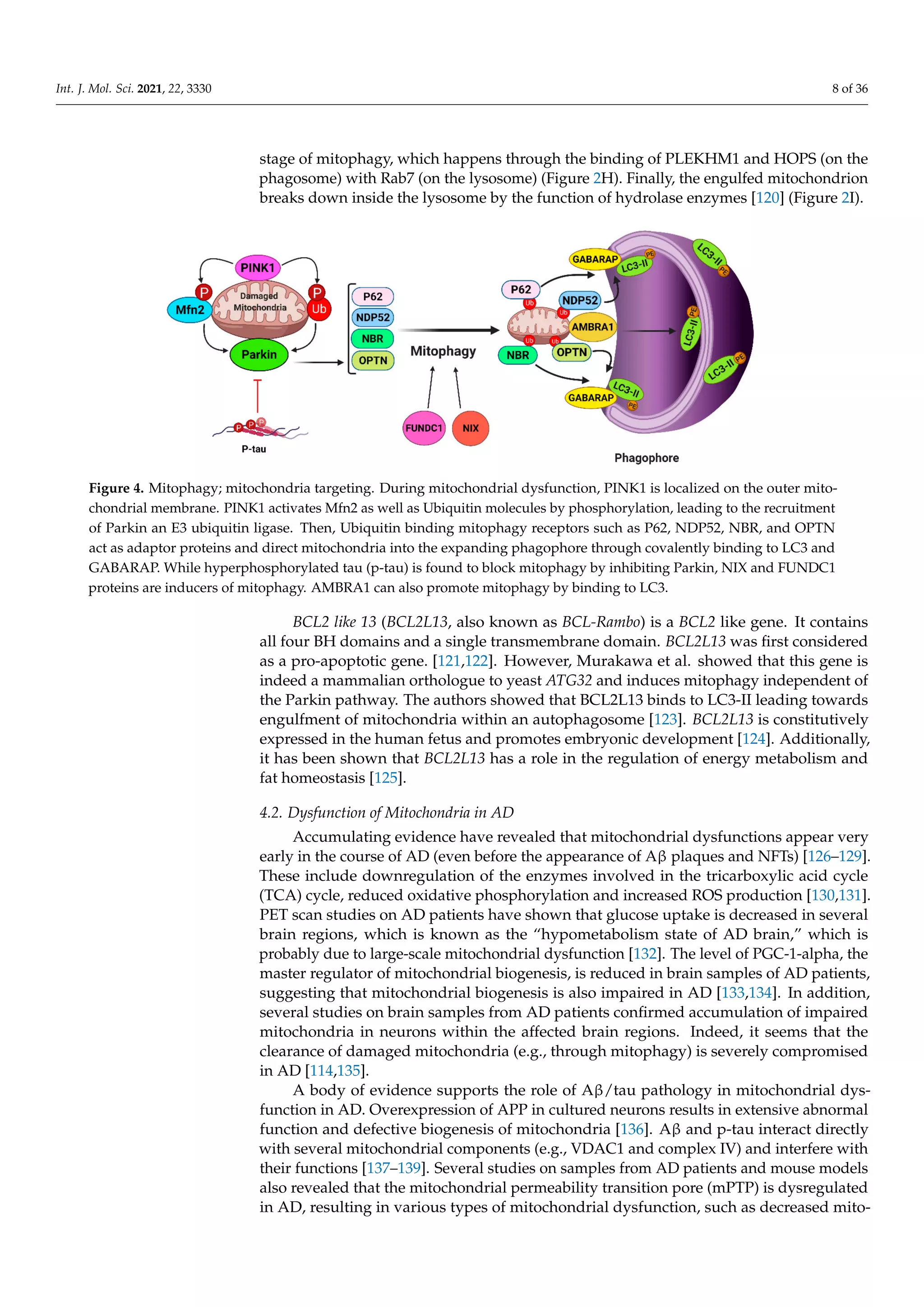 Eshraghi-2021-Alzheimers-disease-pathogenesis-rol.pdf