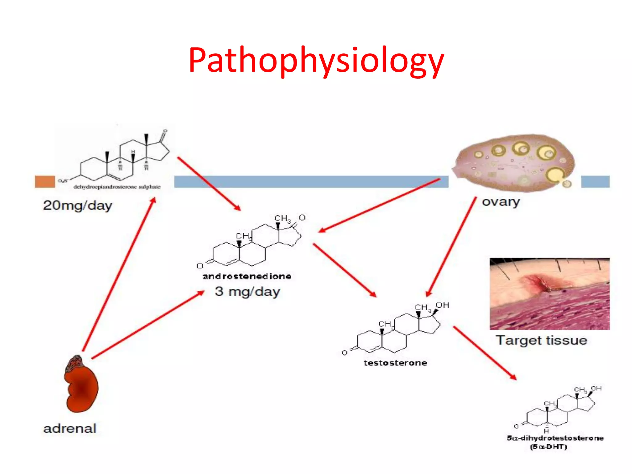 Recent 2018 ESHRE & ASRM evidence based guidelines for PCOS assement ...