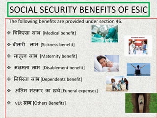 ESI ACT, 1948 IN HINDI | PPTX