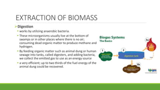 Biomass Energy and Scenario in India | PPTX