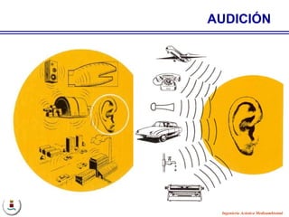 Esi cap 3 proceso de audición | PPT