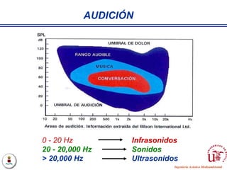 Esi cap 3 proceso de audición | PPT