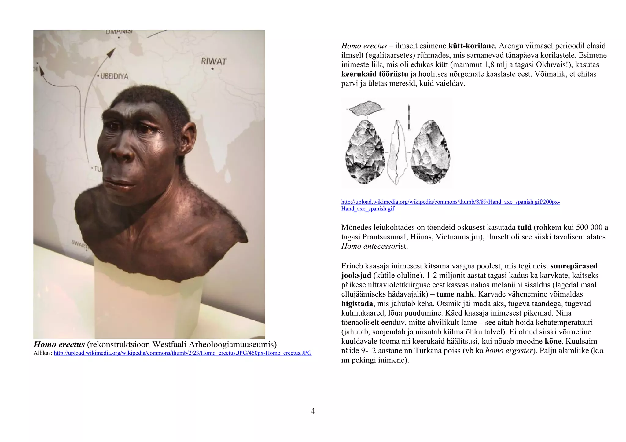 Esimeste inimliikide tutvustus | DOC