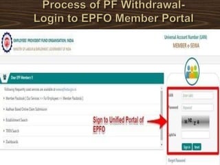 ESI, PF, LWF & Gratuity | PPTX