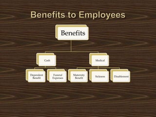 ESI, PF, LWF & Gratuity | PPTX