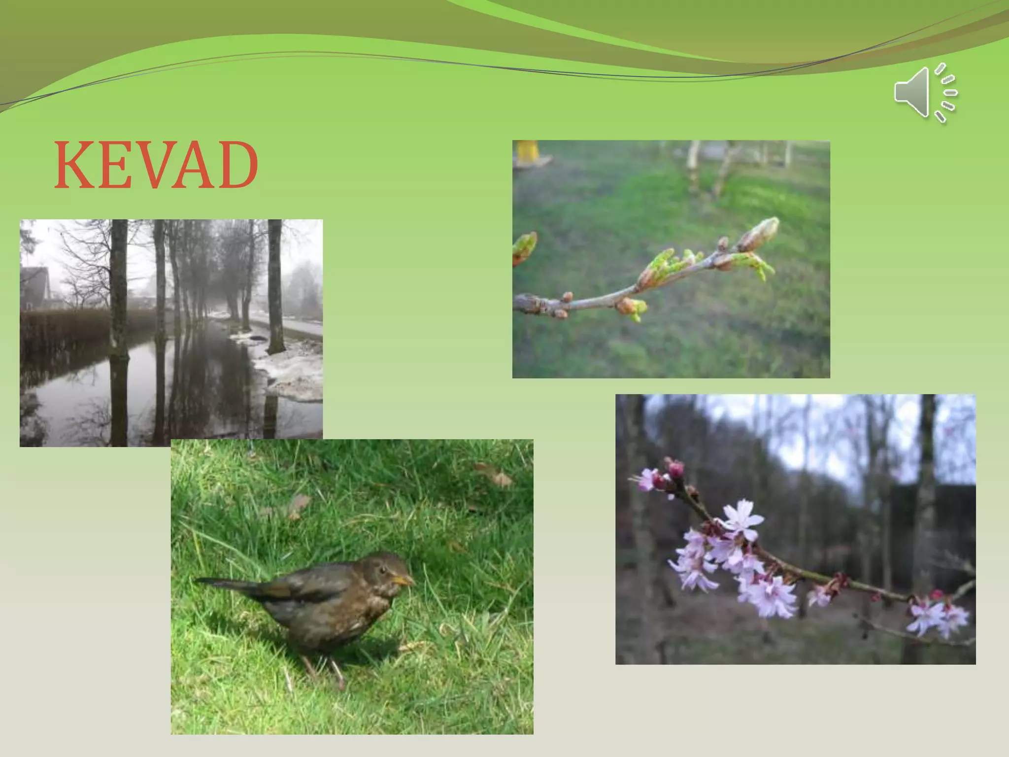 Neli aastaaega looduses | PPTX