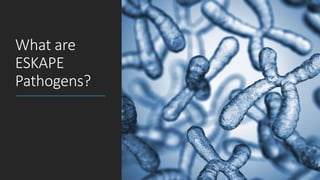 ESKAPE Pathogens.pptx
