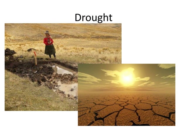 E skelic climate_dynamics | PPTX