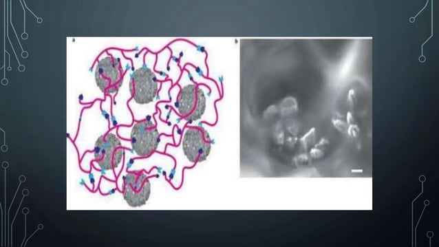 E skin presentation | PPTX | Skin and Dermatology | Diseases and Conditions
