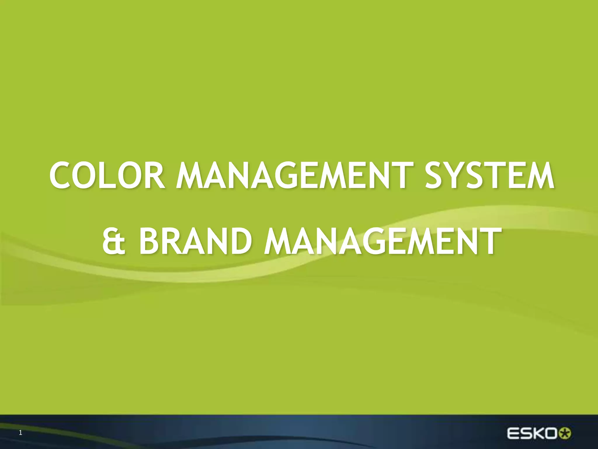 Color Management System & Brand Management | PPTX