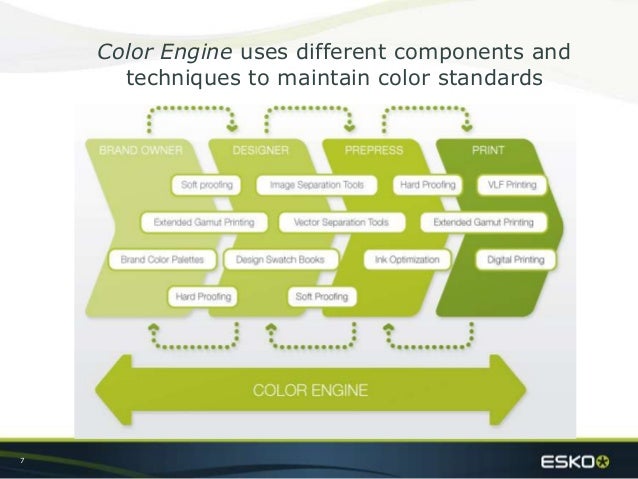 Color Management System & Brand Management