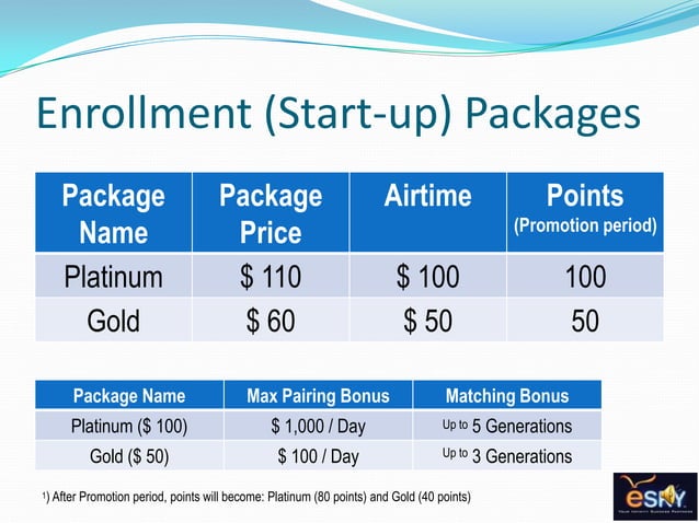 ESKY MGM marketing plan with voice over ver.2.1 | PPT