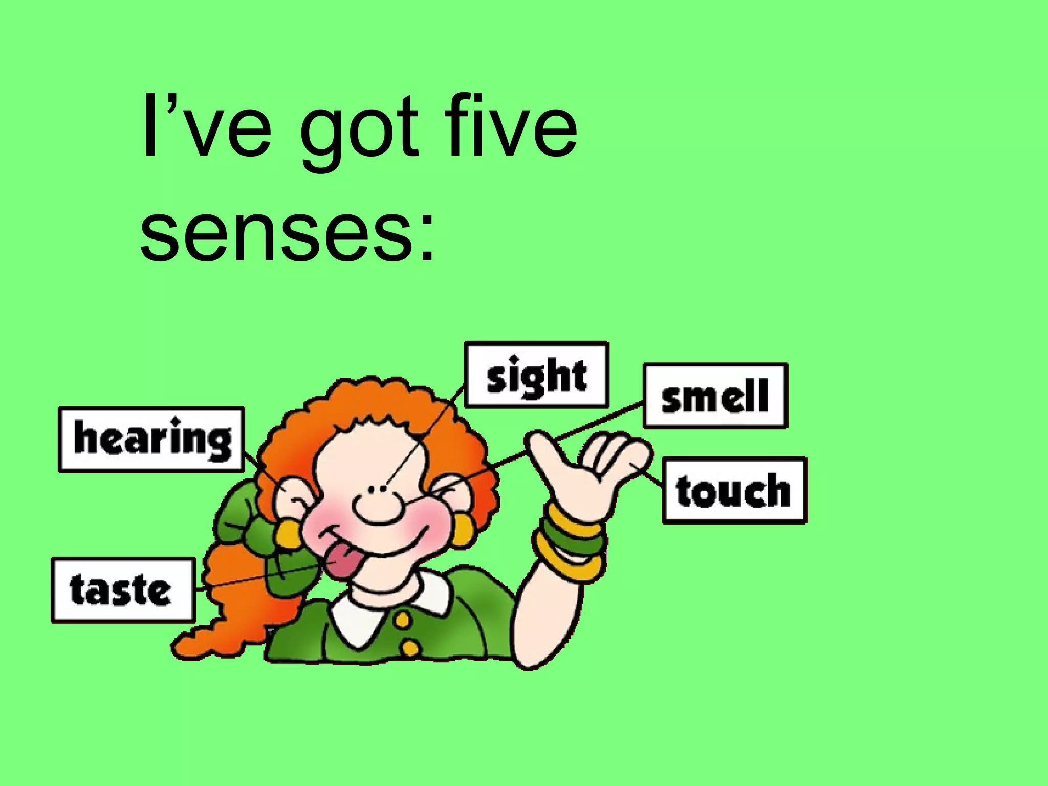 The Five Senses | PPT