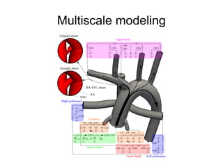 Multi-Physics Methods, Modeling, Simulation & Analysis | PDF