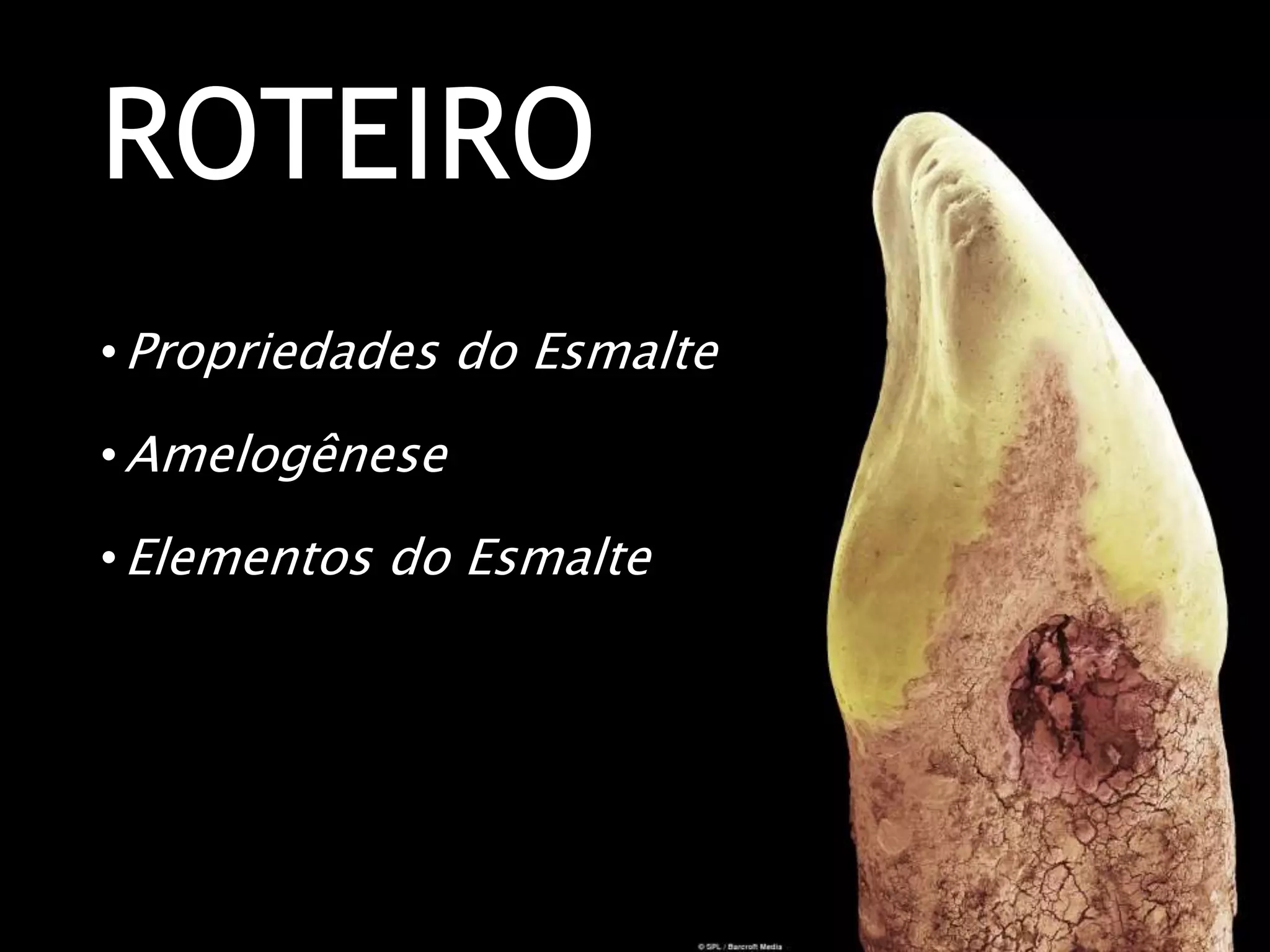 Histologia do Esmalte dentário | PPTX