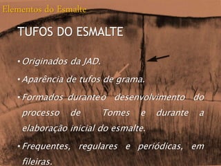 Histologia do Esmalte dentário | PPTX