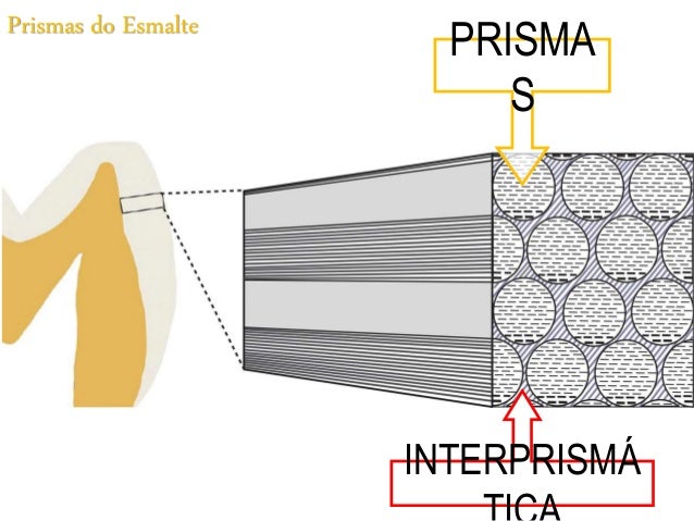 Histologia do Esmalte dentário