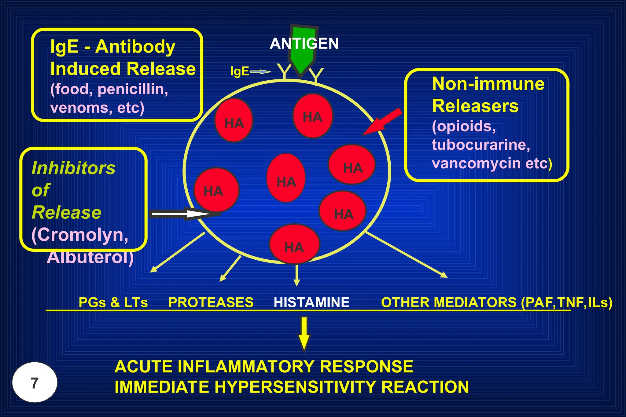 ESM Antihistamine 09.ppt notes on anti histamine drugs including ...