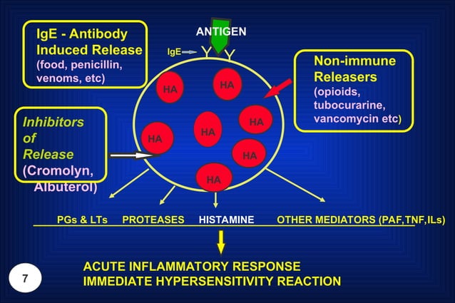 ESM Antihistamine 09.ppt notes on anti histamine drugs including ...