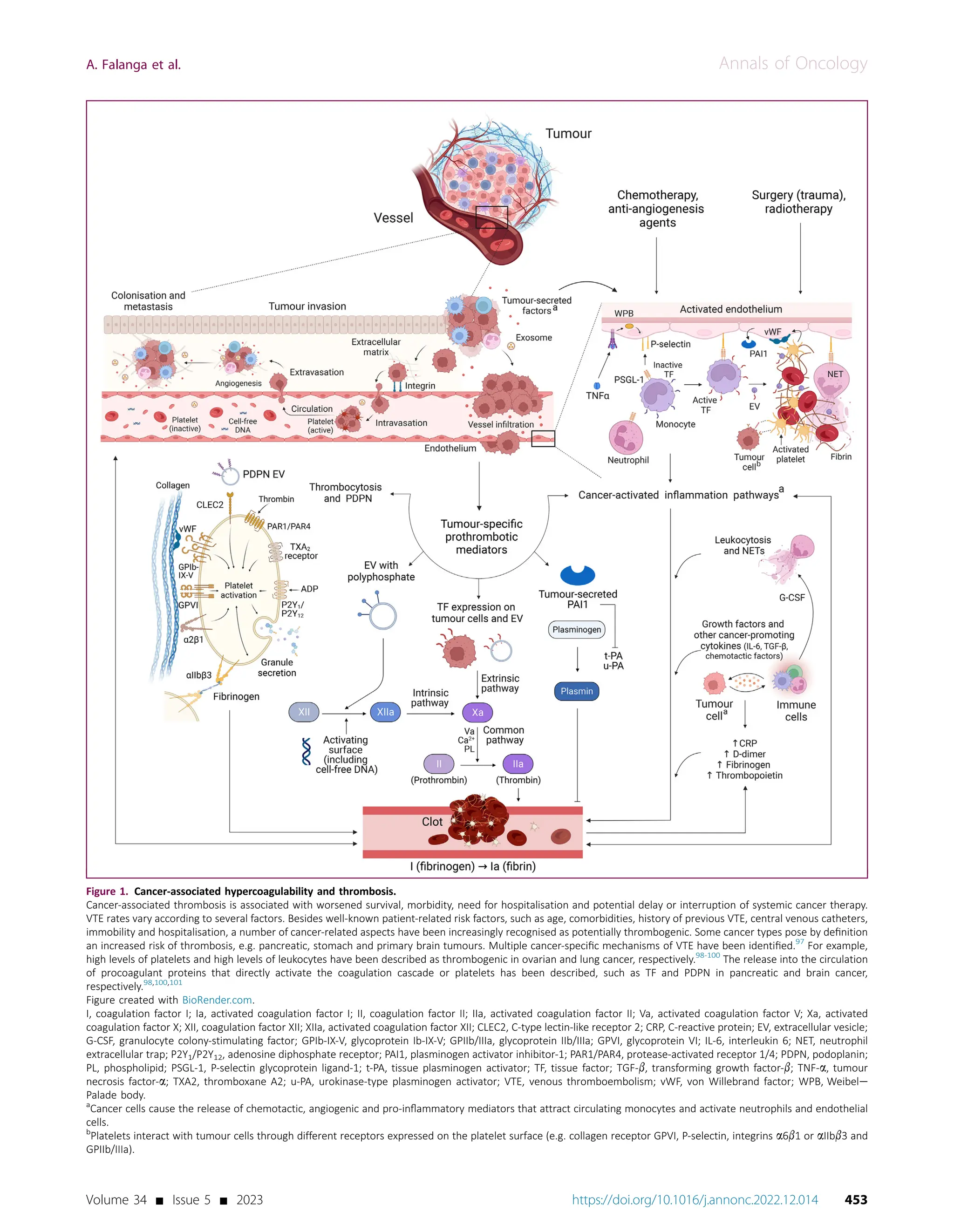 esmo guidelines.pdf