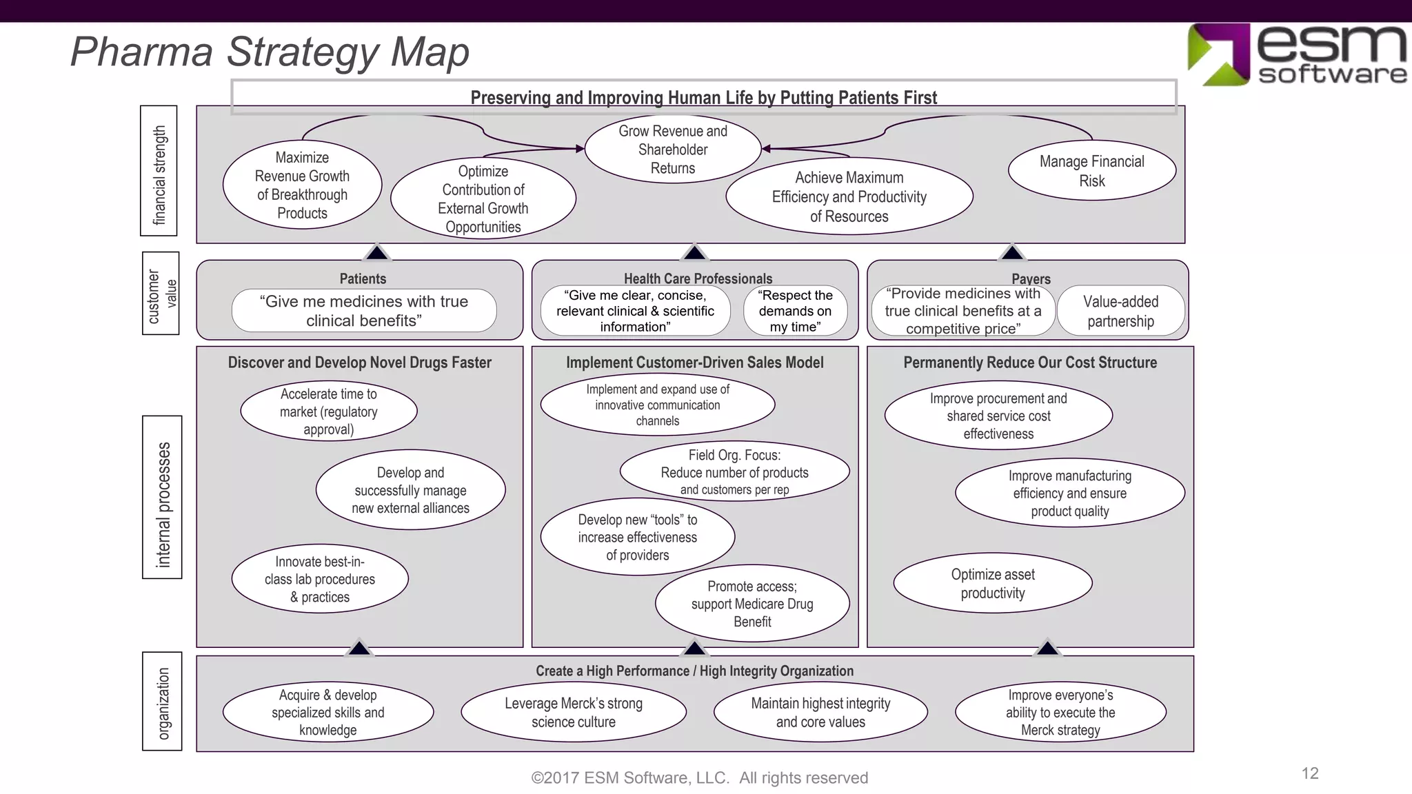 ESM Software - Healthcare Strategy Map Examples.pptx