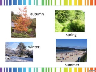 Comparison groups | PDF