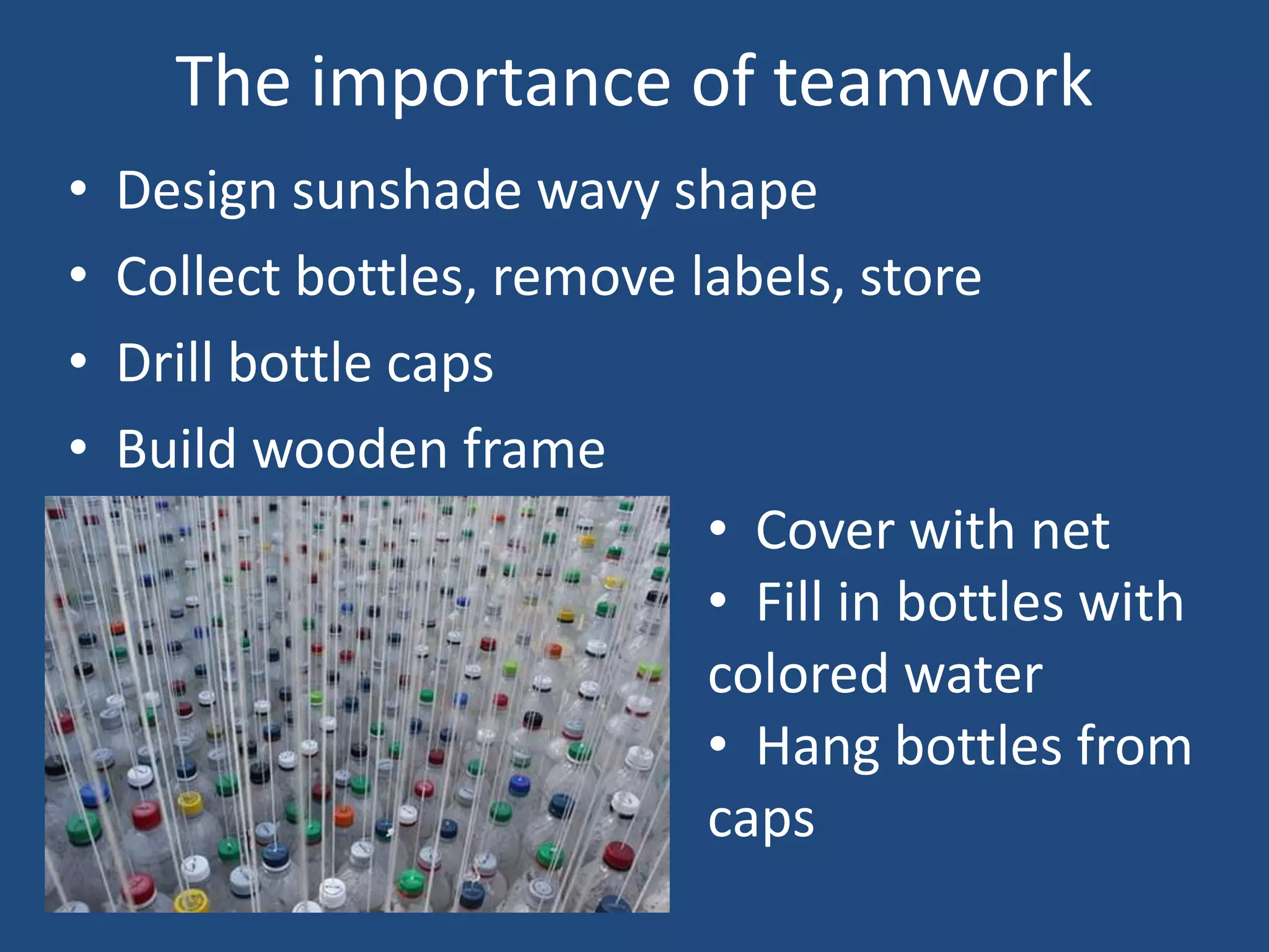 Get to know Garth Britzman's Project: Recycling plastic bottles | PPT