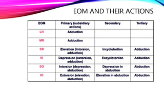ESODEVIATION AND ITS APPROACH.pptx