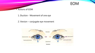 ESODEVIATION AND ITS APPROACH.pptx