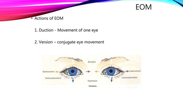 ESODEVIATION AND ITS APPROACH.pptx | Eye and Vision Conditions ...