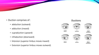 ESODEVIATION AND ITS APPROACH.pptx
