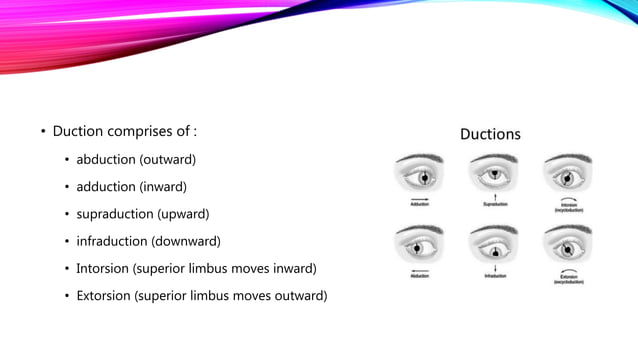 ESODEVIATION AND ITS APPROACH.pptx | Eye and Vision Conditions | Diseases and Conditions