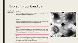Esofagitis clasif angeles- esof barret | PPTX