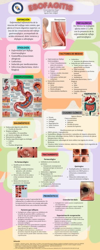 Infografía Esofagitis_20250403_080051_0000.pdf