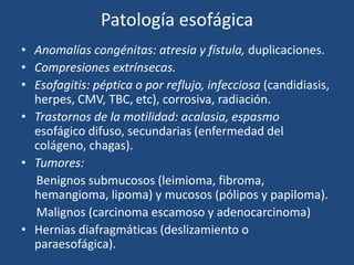 Esófago.Estómago y Duodeno.Estudios contrastados | PPT