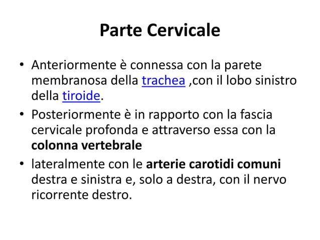 Esofago | PPTX | Ear, Nose and Throat Conditions | Diseases and Conditions