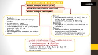 Esofago, patología esofágica | PPTX