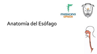 Esofago | PPTX