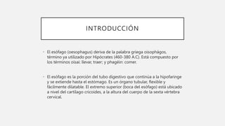 esofago | PPTX