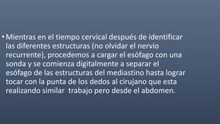 CIRUGIA DE ESOFAGO (ESOFAGECTOMIA) Y ANATOMIA | PDF