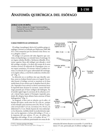 Anatomia descriptiva quirurgica del Esofago.pdf | Free Download